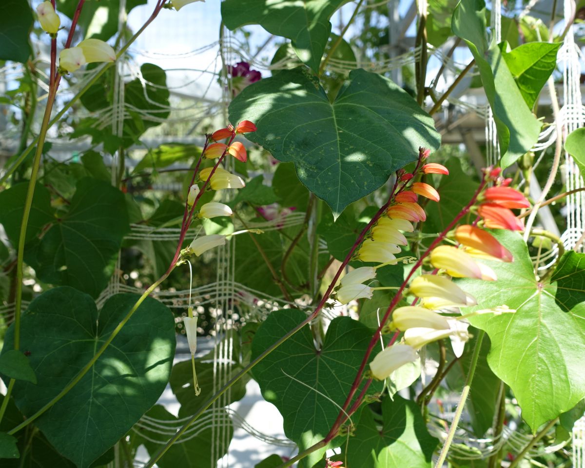 OMC°C | How it works